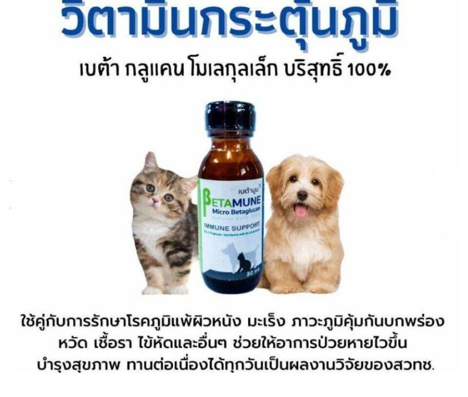 betamune micro betaglucan เบต้ามูนวิตามินกระตุ้นภูมิสำหรับสุนัขและแมว ...
