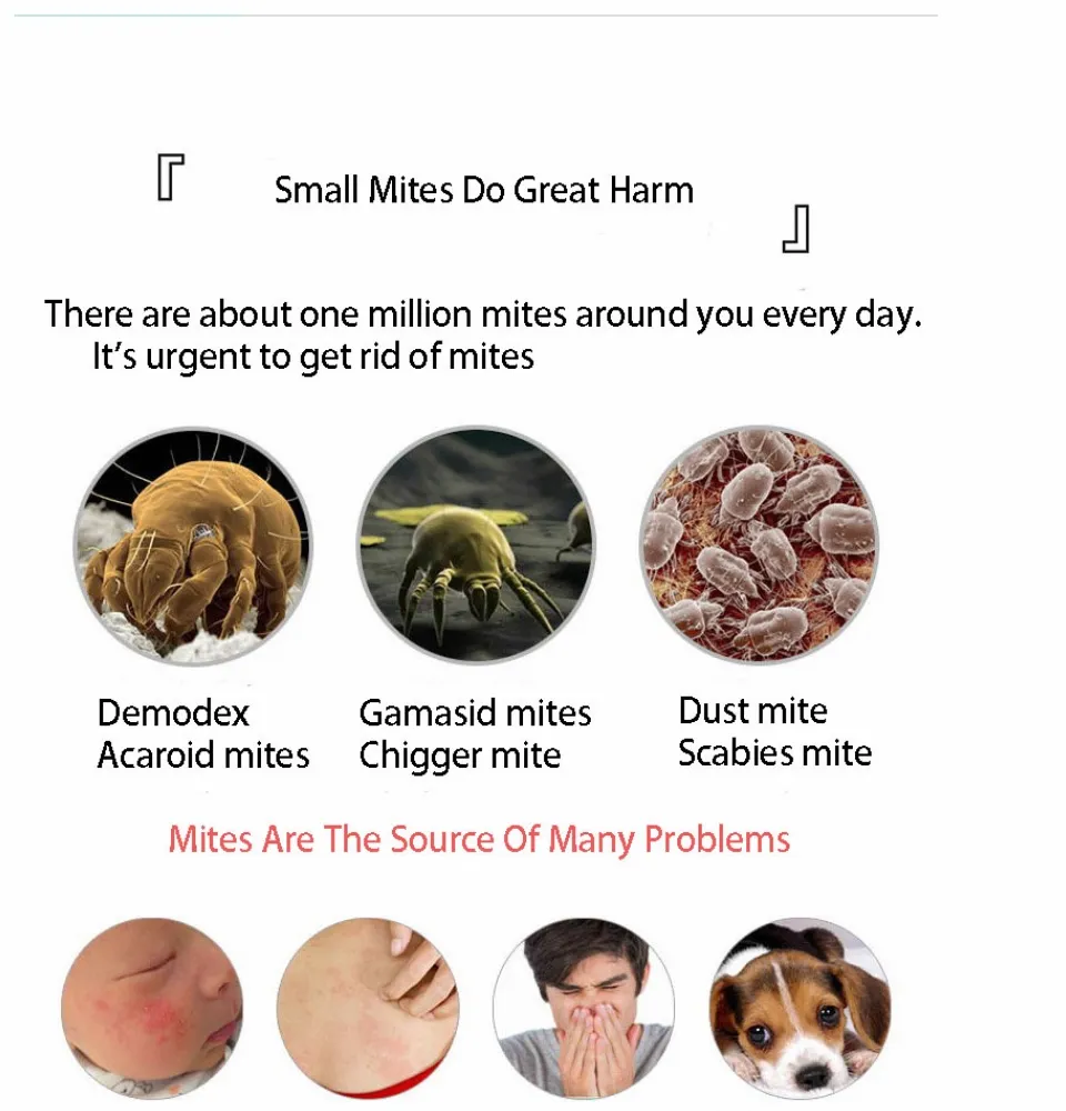 How Do You Get Rid Of Dust Mites On A Dog