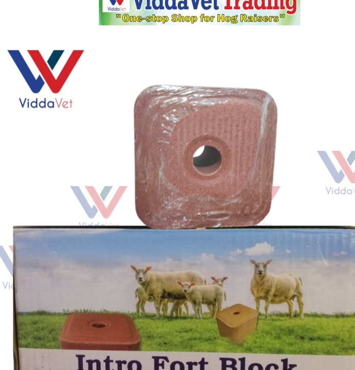 Intro Fort Block Mineral Block 5kgs Holland for Cattle Sheep Goat ...