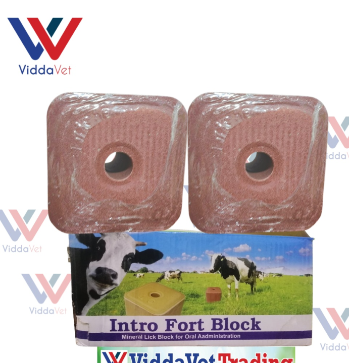 5 kilograms Intro Fort Block Mineral Block 5kgs Holland for Cattle ...