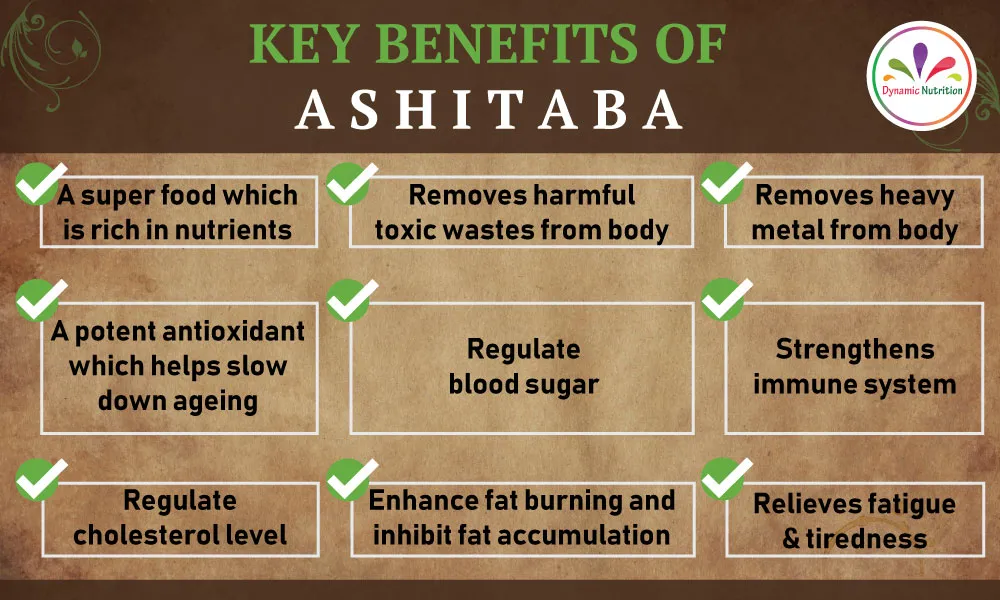 Promo Organic Ashitaba - Potent food with vitality and energy Diskon 20 ...