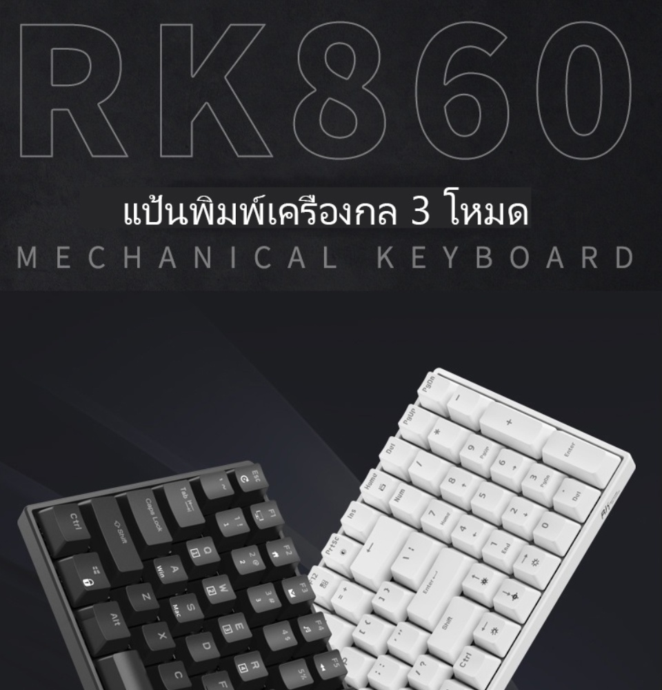 RK860/RK100 MECHANICAL BROWN/ RED SWITCH แบบ 100 KEY แป้นพิมพ์เครื่องกล ...