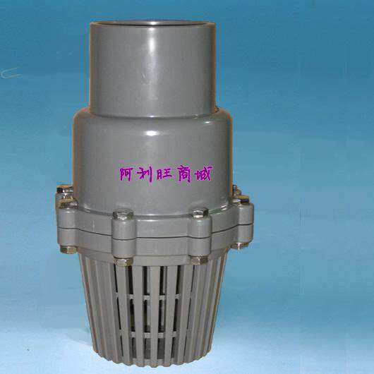 PVC Bottom Valve Flower Basket Head Water Pump Valve Check Type 32 50 ...