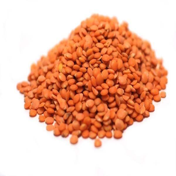 Red - Orange Lentil / Lentil Merah - Oren 500G | Lazada Indonesia