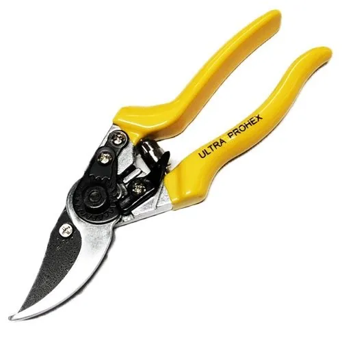 Prohex Gunting Stek Dahan 8" - 1353-002 | Lazada Indonesia