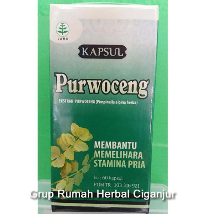 Purwoceng Kapsul 1 botol - isi 60 kapsul | Lazada Indonesia