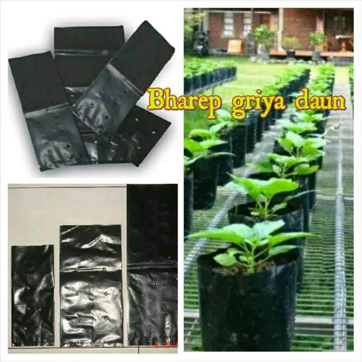 Polybag Berbagai Jenis Ukuran | Lazada Indonesia