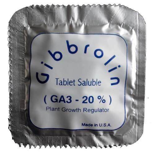 Gibbrolin Tablet GA3 - Zat Perangsang Tumbuh - 10 gram | Lazada Indonesia