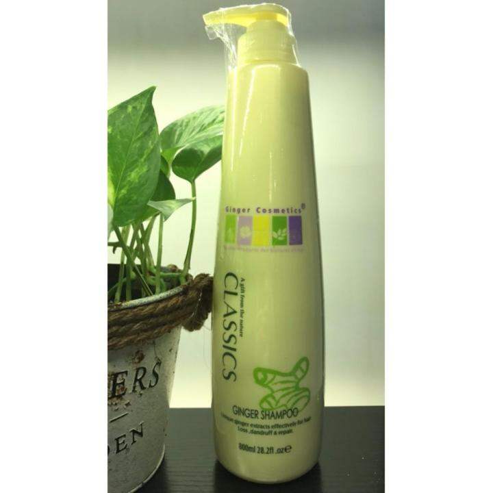 TaiWan Ginger Classic Essential oi Dandruff Ice tea tree wash Shampoo ...