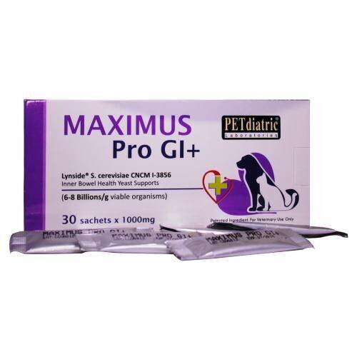MAXIMUS PRO GI+(PROBIOTIC INTESTINAL HEALTH) PETdiatric 30 sachets x ...
