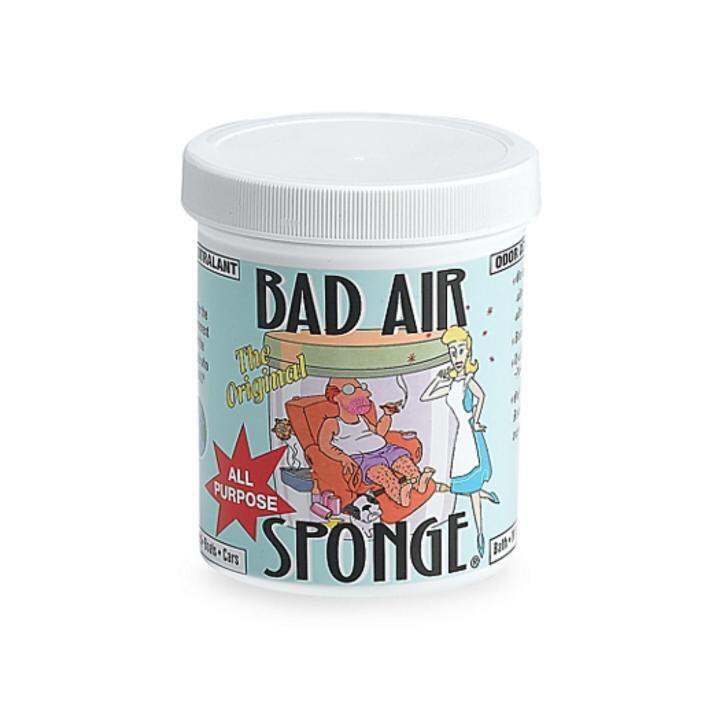 Bad Air Sponge Pet Odor Absorber | Lazada PH