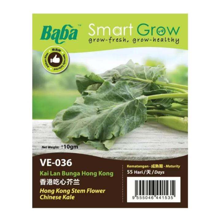 Baba Smart Grow Seeds VE-036 Hong Kong Stem Flower Chinese Kale(KaiLan Bunga Hong Kong)Vege Seed ...