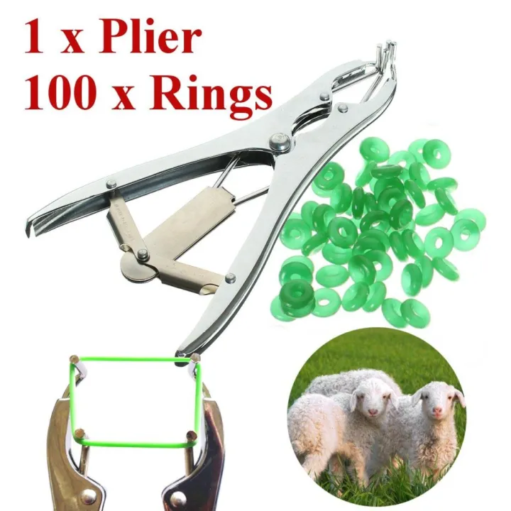 1 Plier for Sheep Cattle Castration Banding Tail Applicator Farm w/ 100 ...