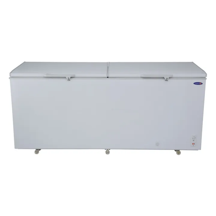 Fujidenzo 22 cu. ft. Solid Top Chest Freezers FC-22 ADF (White) | Lazada PH