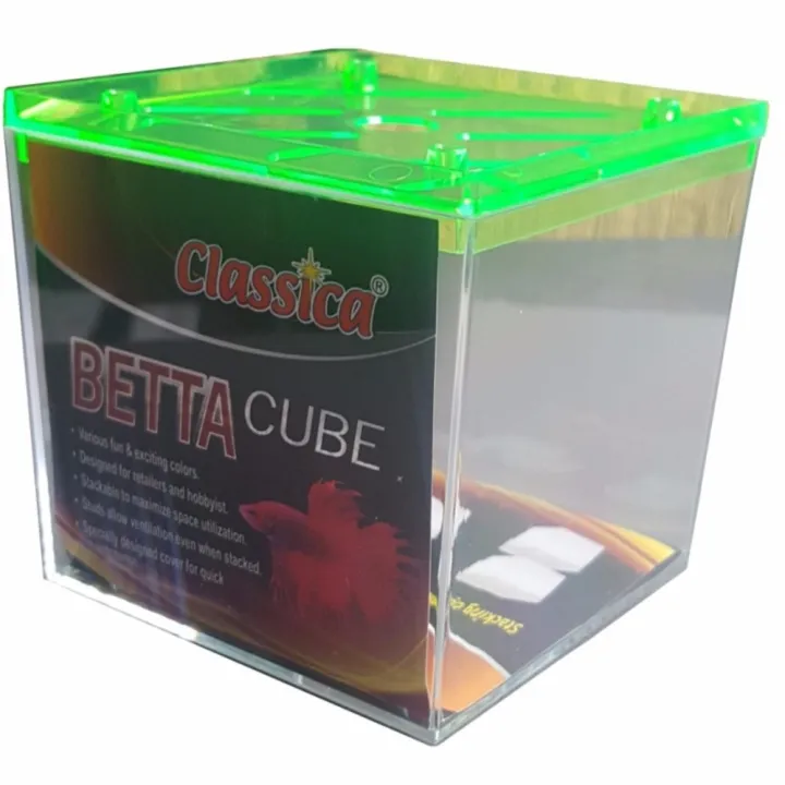 Classica Betta Fighting Fish Mini Aquarium Cube (Green) | Lazada PH