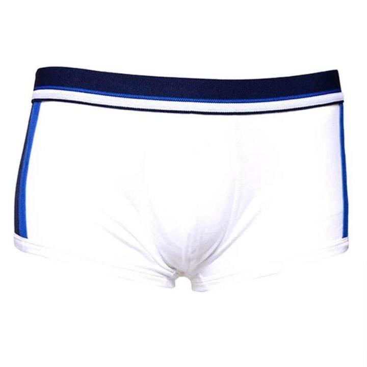 Warren 1-8436W Boxer Brief (White) | Lazada PH