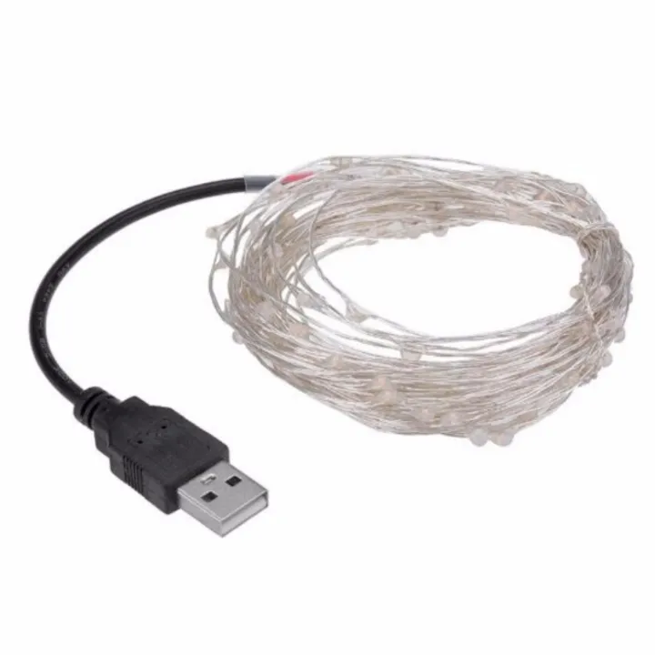 ไฟ LED ขดลวดทองแดง 10M 100led 5V USB สีวอร์มไวท์ | Lazada.co.th