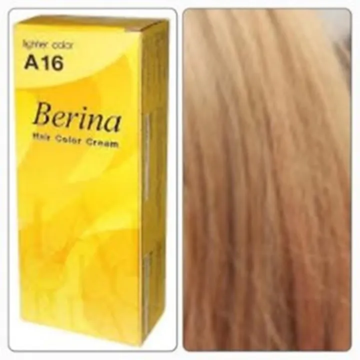 Berina A16 เบอริน่า สีสว่าง ครีมเปลี่ยนสีผม 60 ML.1 กล่อง | Lazada.co.th